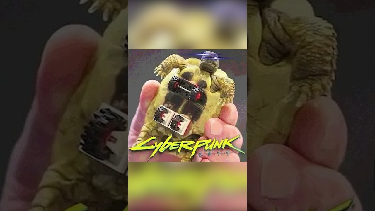 Cyberpunk 2077 Meme Compilation Part 3 - Cyberpunk 2077 videos