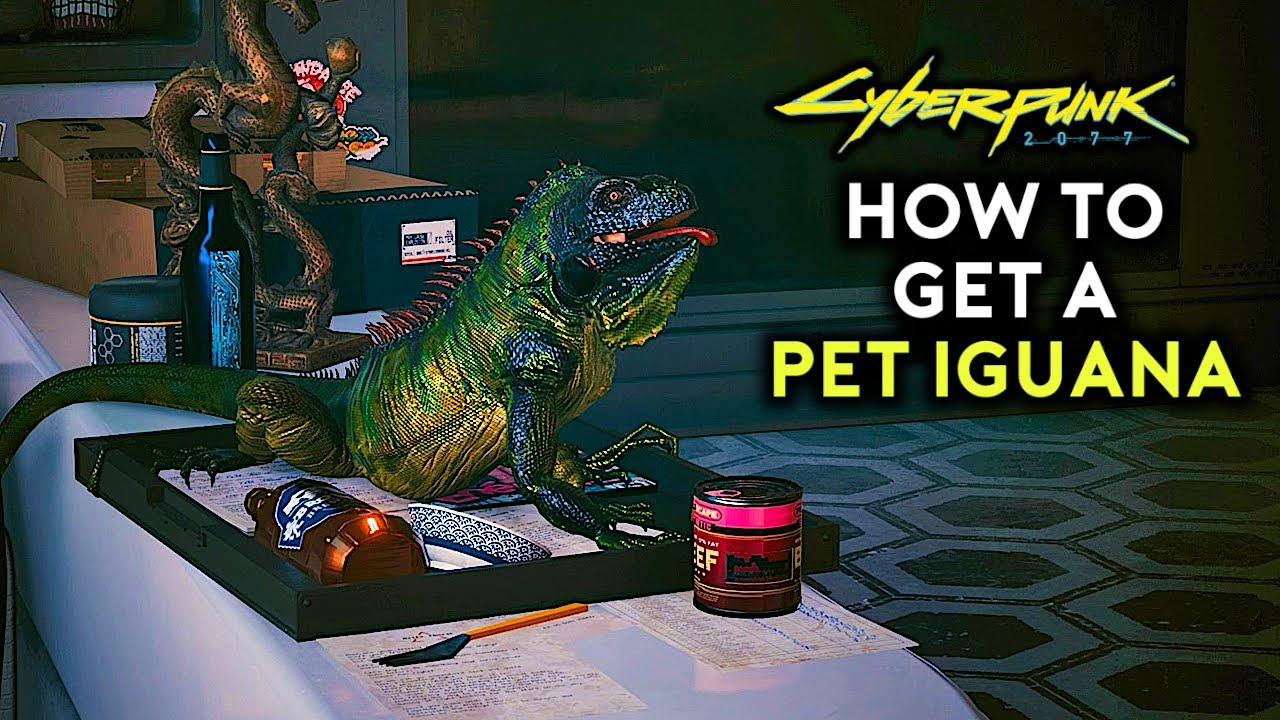 Cyberpunk 2077 Secret Iguana Pet Easter Egg New Patch 1 5 Dlc Content