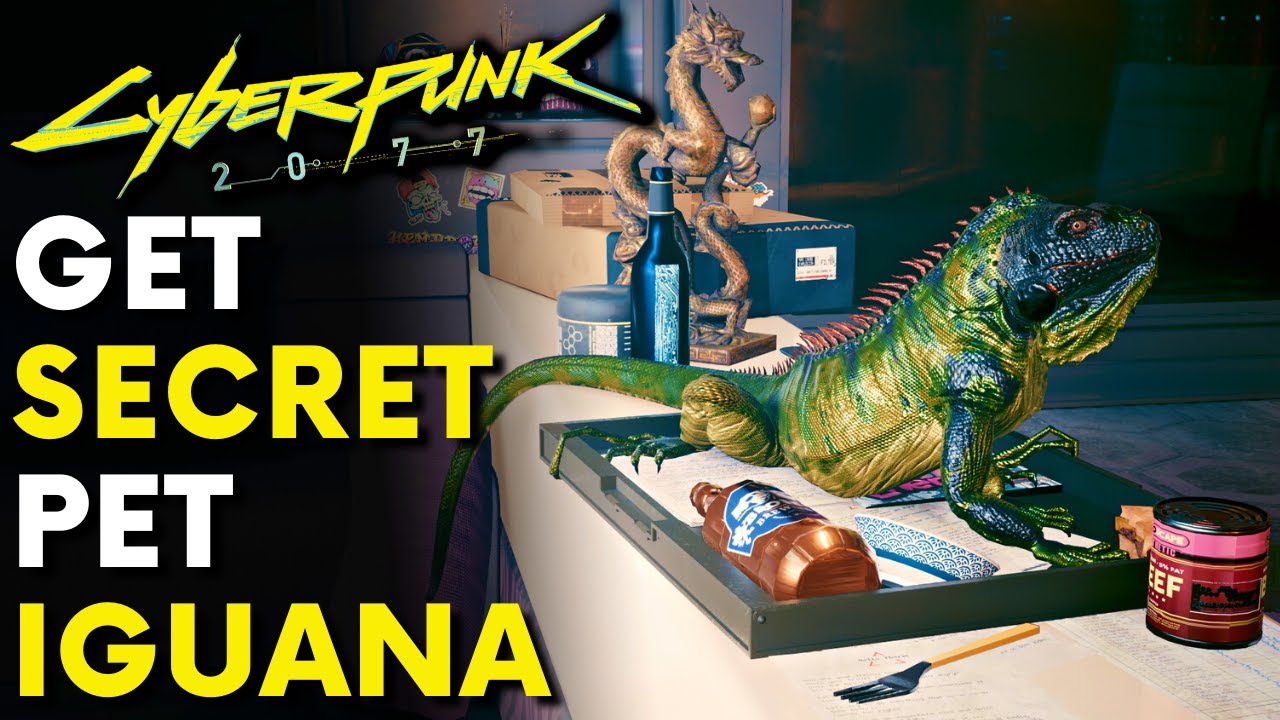 Get A Secret PET IGUANA in Cyberpunk 2077 | Patch 1.5 - Cyberpunk 2077 ...