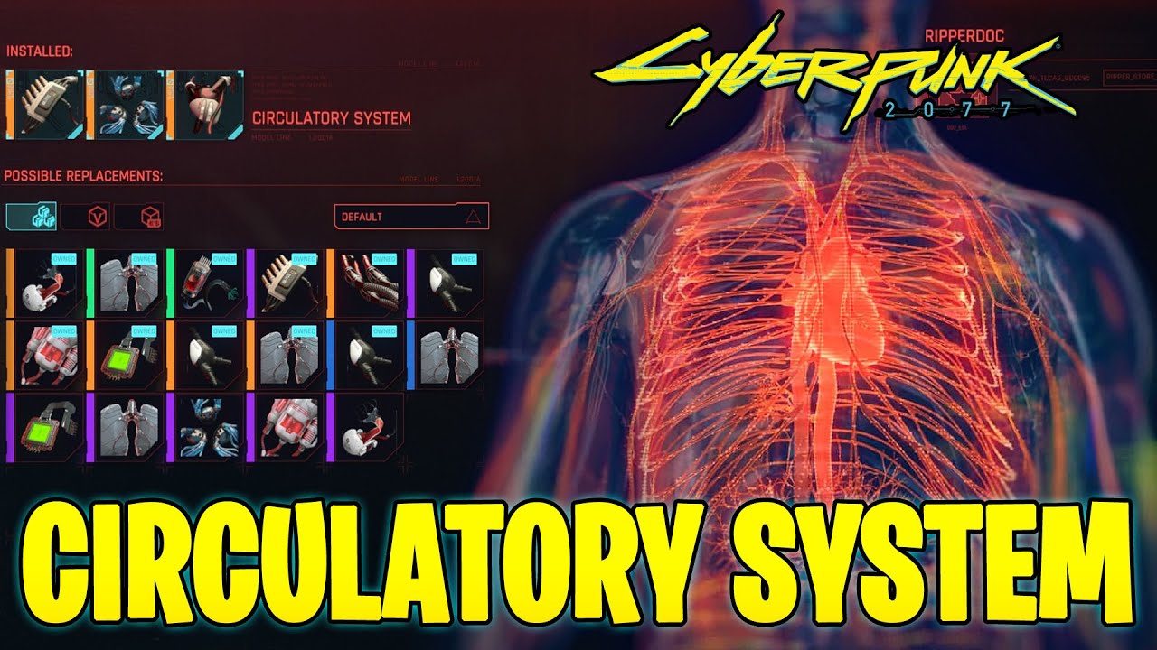 Circulatory System Cyberware - Blood Pump Not Working (Cyberpunk 2077 ...