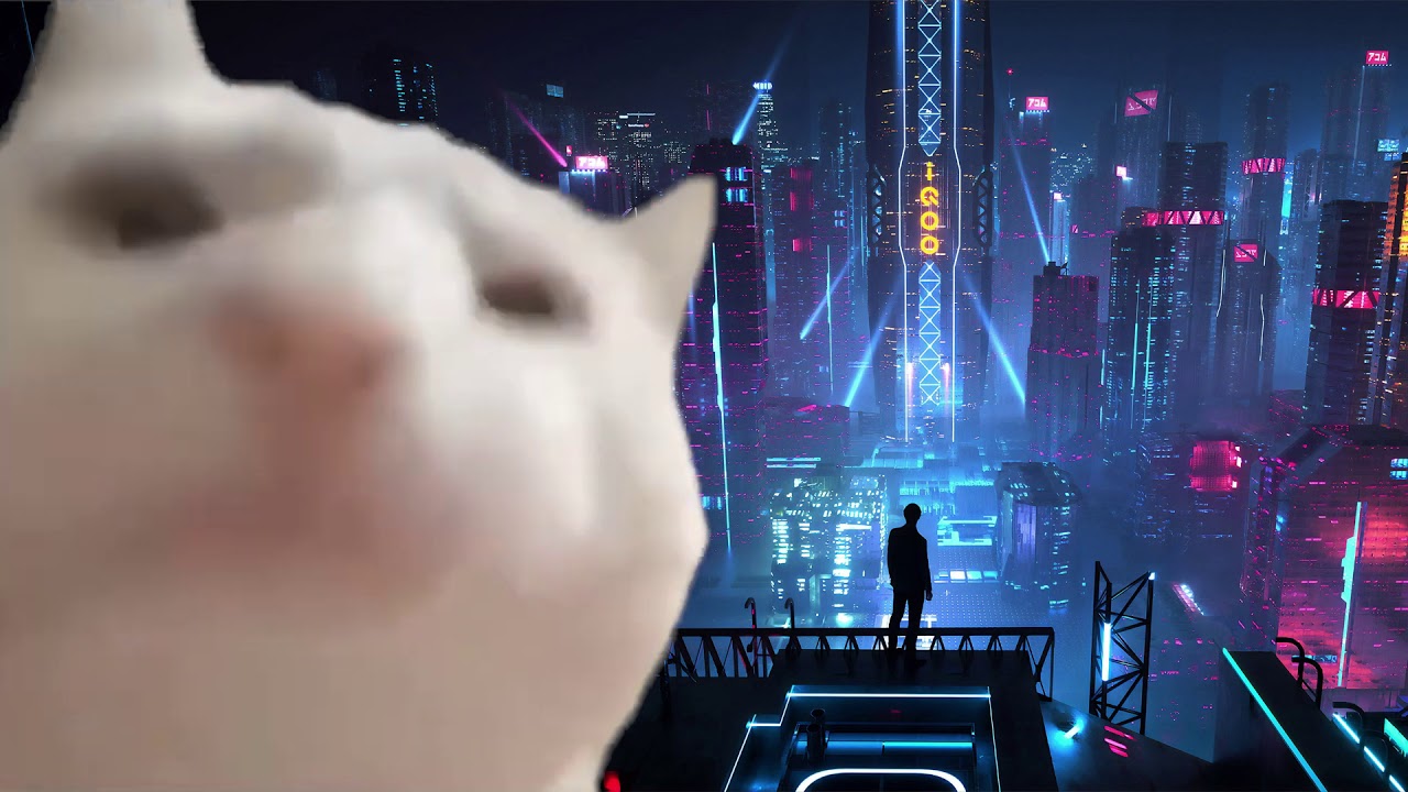 Cat vibing to The Rebel Path (cello version) - Cyberpunk 2077 ...
