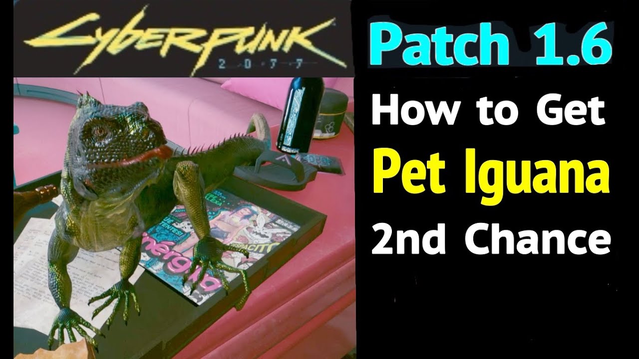 Pet Iguana (2nd Chance) Patch 1.6 (Cyberpunk 2077) Re-Enter Konpeki ...