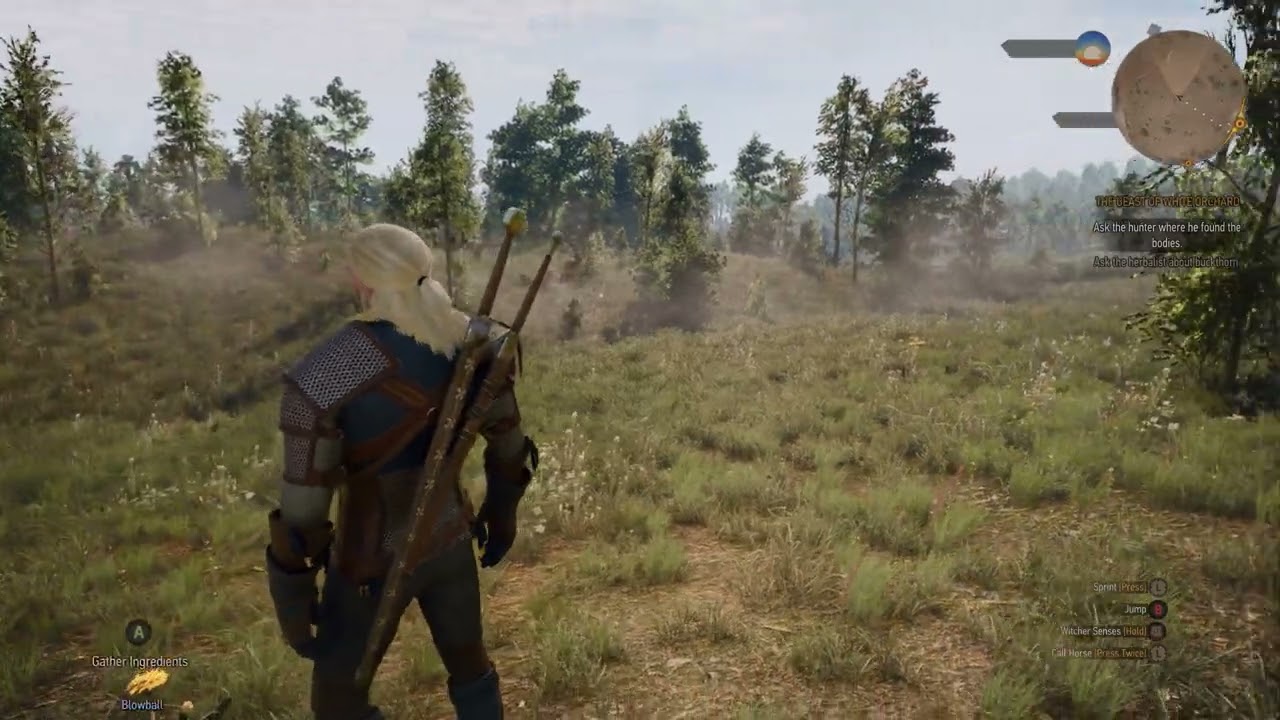 The Witcher 3 Next Gen Update PC Performance Feels A Little Better Than ...